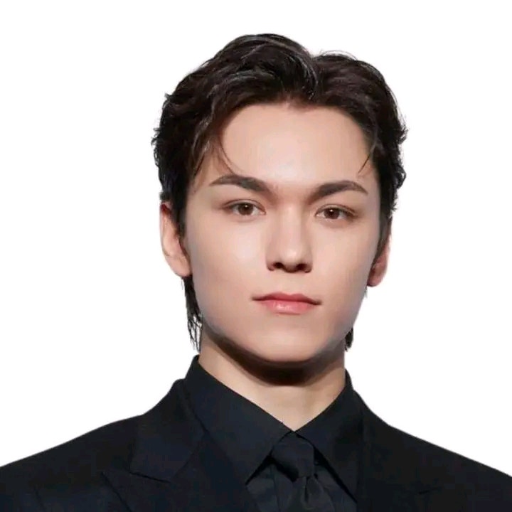 SEVENTEEN Community Post - SVT ID picture's