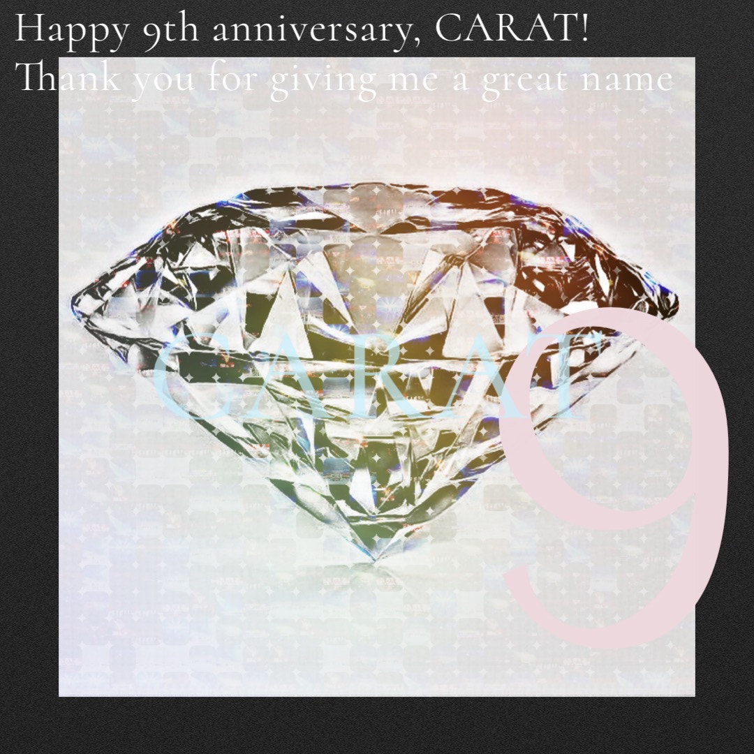 SEVENTEEN Community Post - #HAPPY_CARAT_DAY CARATにならなければ 感じることのなかった感情 ...