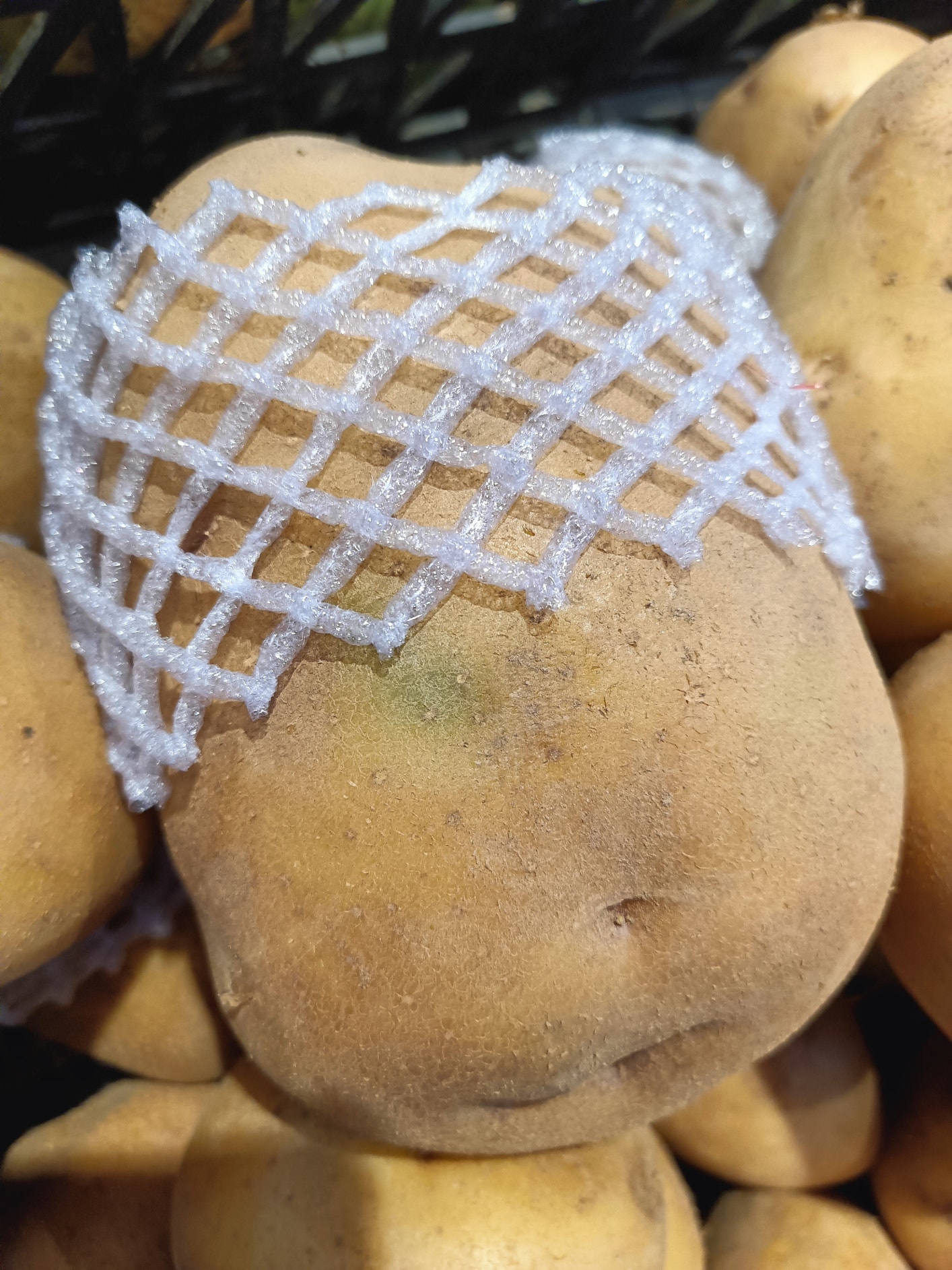 SEVENTEEN Community Post - 克拉们，我的kimja，只不过还没有加工！ ️💗