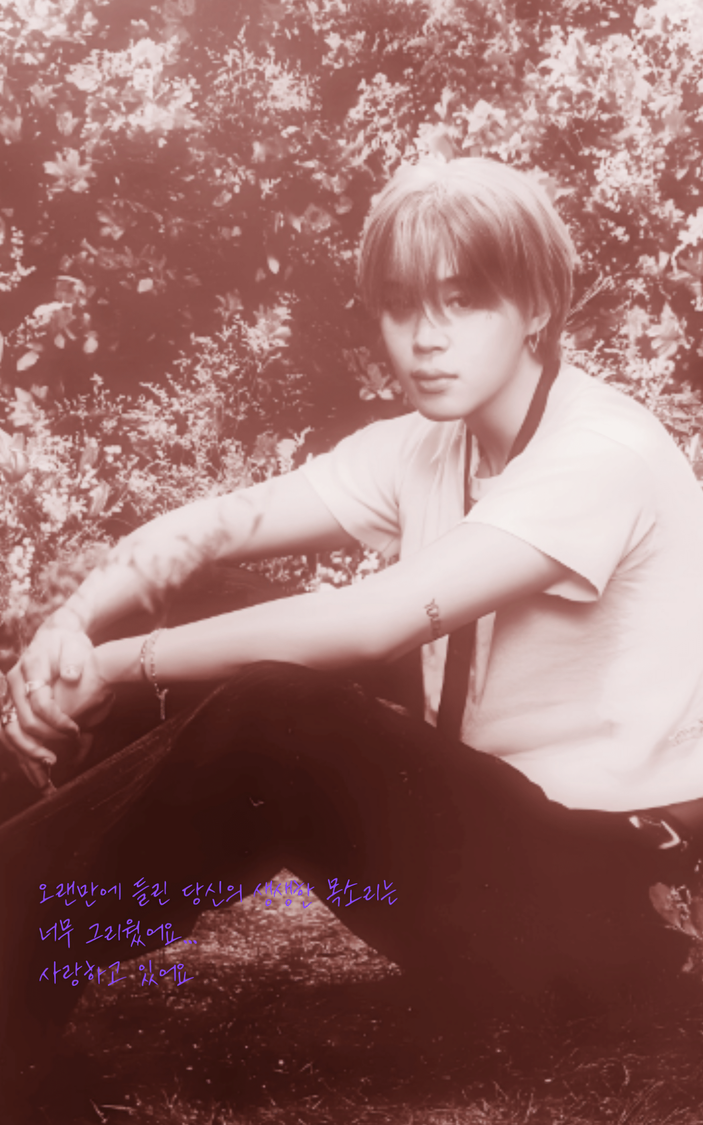 BTS Weverse Fan Letter