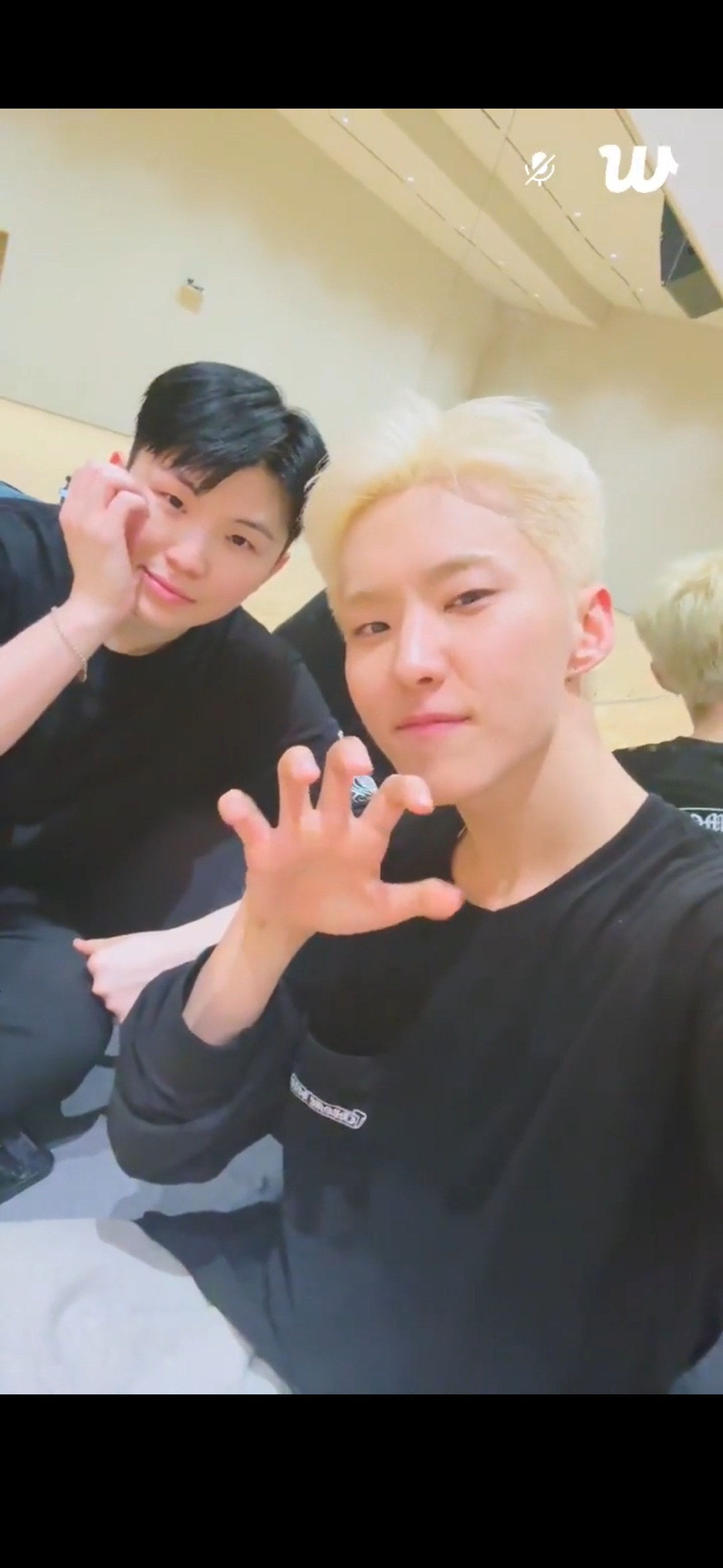 SEVENTEEN Community Post - 두 귀여운 아기😻😻hoshi가 매우 흥분한 것을 볼 수 있다