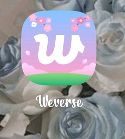 BTS Community Post - i have changed my weverse icon🥰☺😌