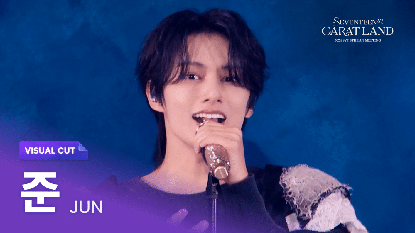 Weverse SEVENTEEN Media - 2024 SVT 8TH FAN MEETING VOD - VISUAL CUT #4 JUN