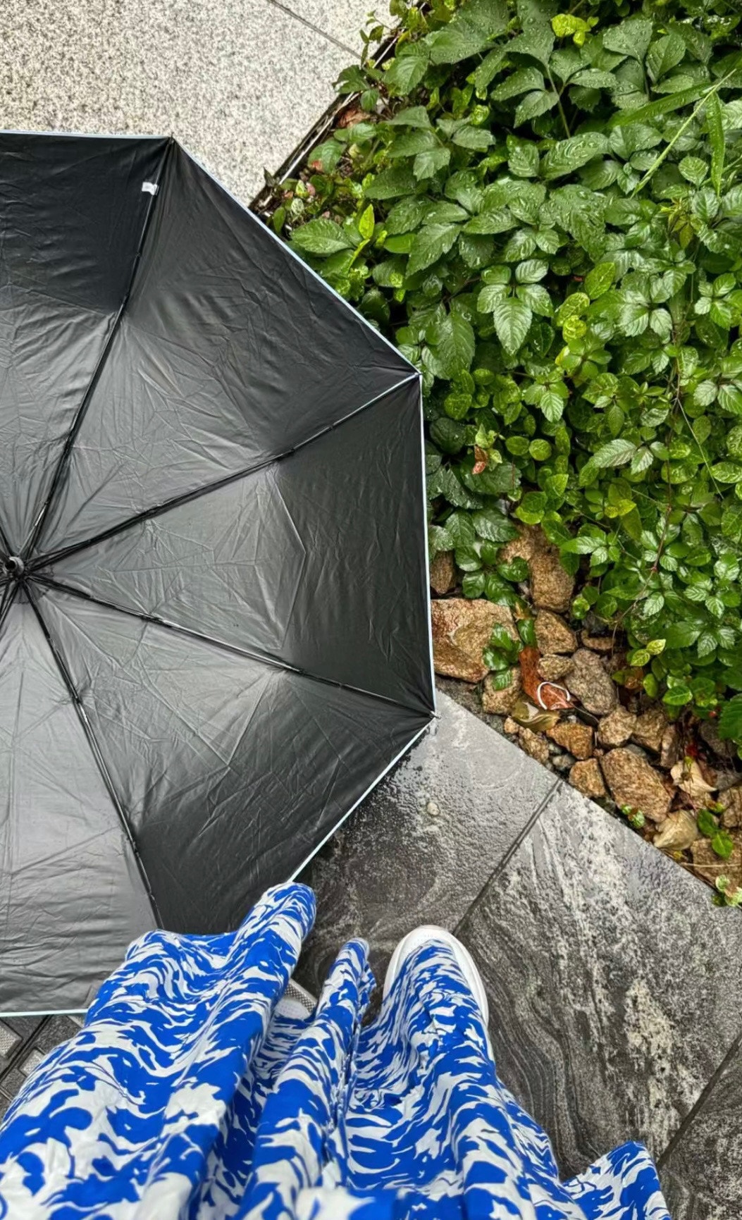 SEVENTEEN Community Post - Rain… rain… rain… 🌧️ I love the atmosphere of winter—the cold, the ...