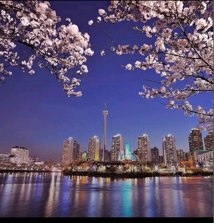 BLACKPINK Community Post - lotte world twoer wikipedia geugos- eus ...