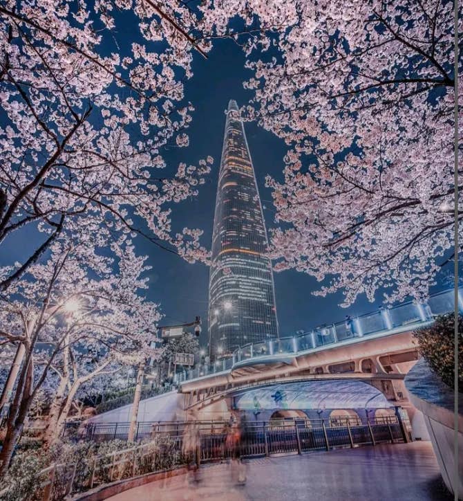 BLACKPINK Community Post - lotte world twoer wikipedia geugos- eus ...