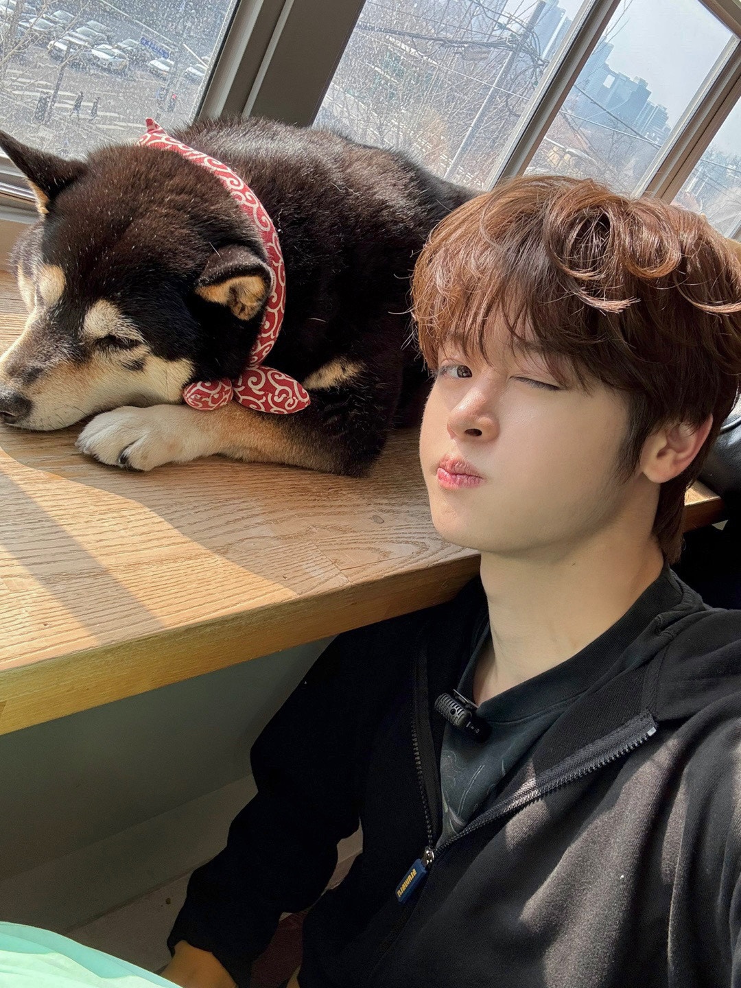 CLOSE YOUR EYES Community Post - 성민이랑 🐶 - MA JINGXIANG