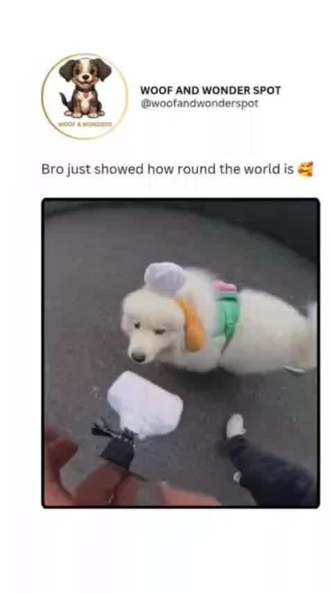 ENHYPEN Community Post - Good morning Jake puppy 😘 ️ Watch this coz it ...