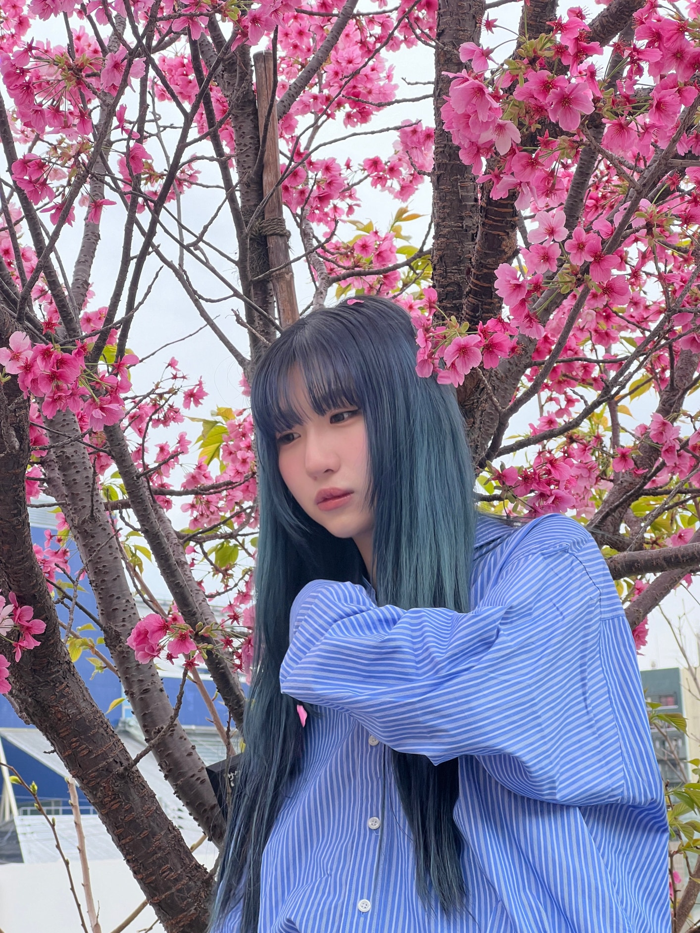 eill Community Post - 22:00💞WEVERSE LIVE https://weverse.io/eill/live/2-157601657 - eill