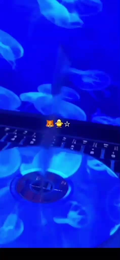 ENHYPEN Community Post - cute Sunki🫶🏻💗#sunki