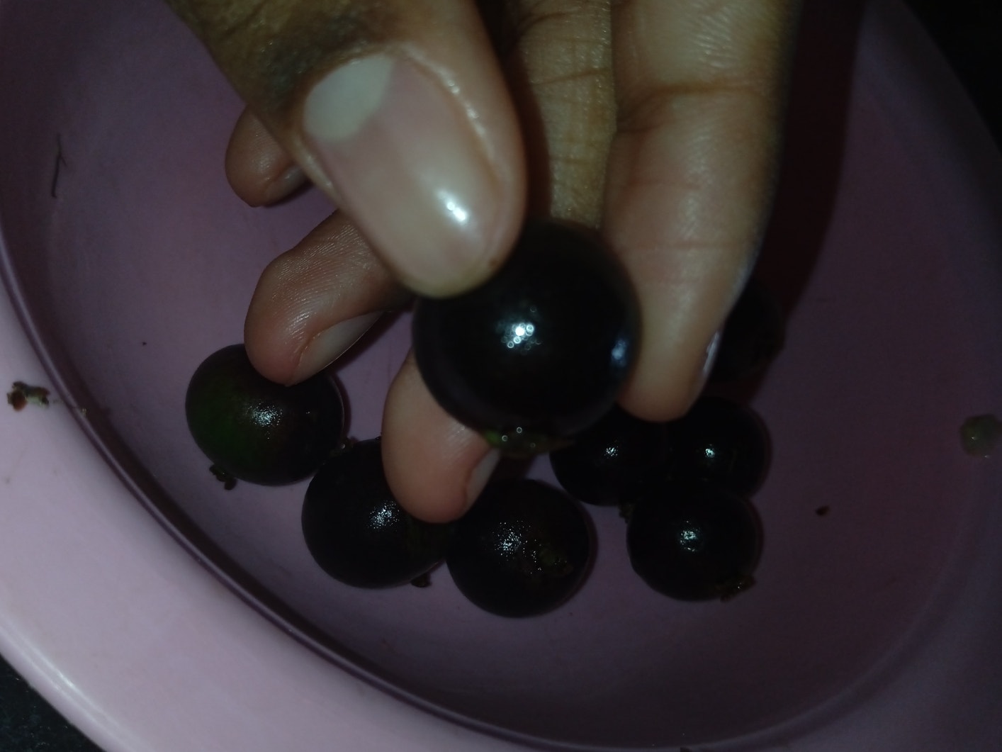 BTS Community Post - Here in Brazil we have a fruit called jabuticaba ...